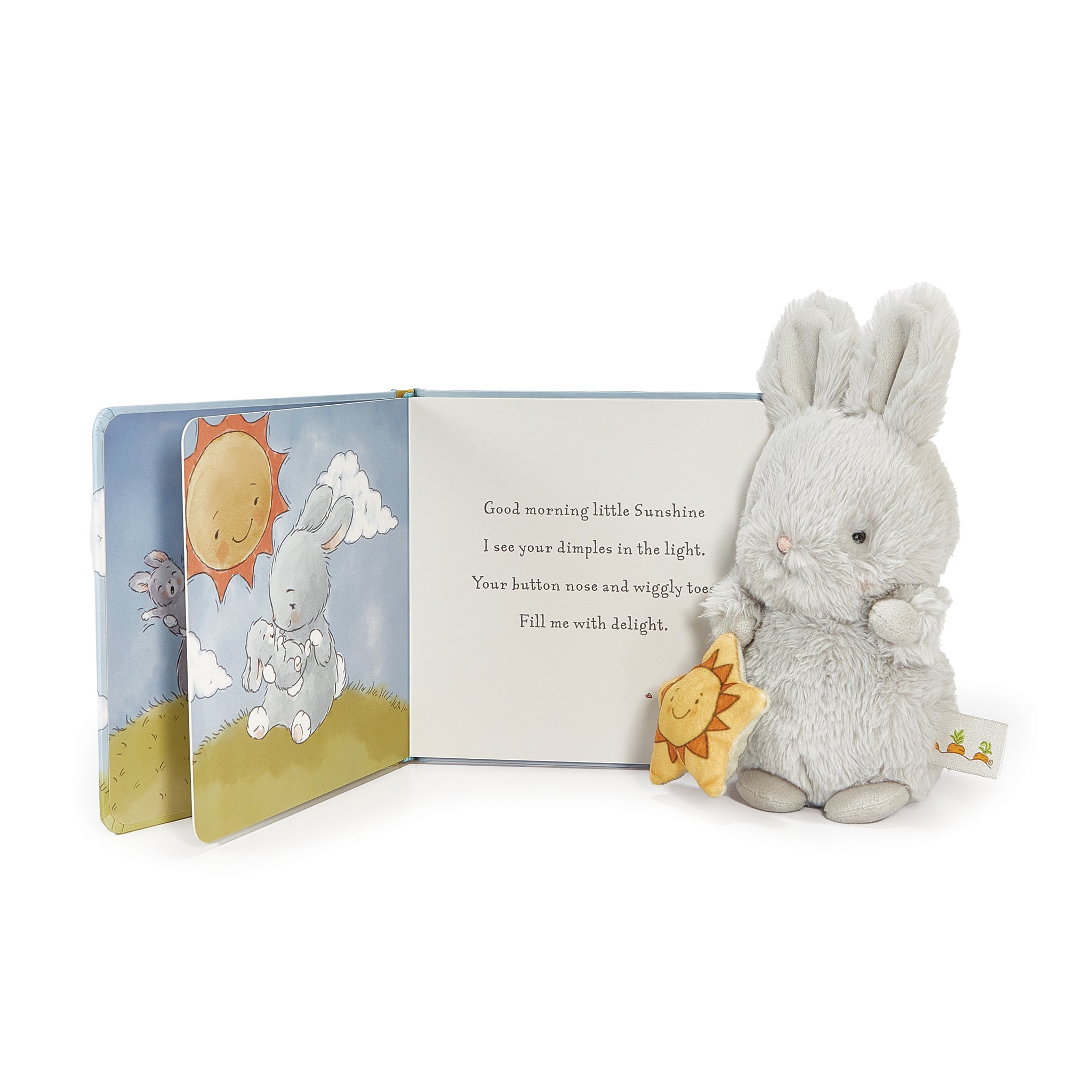 Little Sunshine Bloom Book Bundle | Children's Book and Stuffed Animal Set