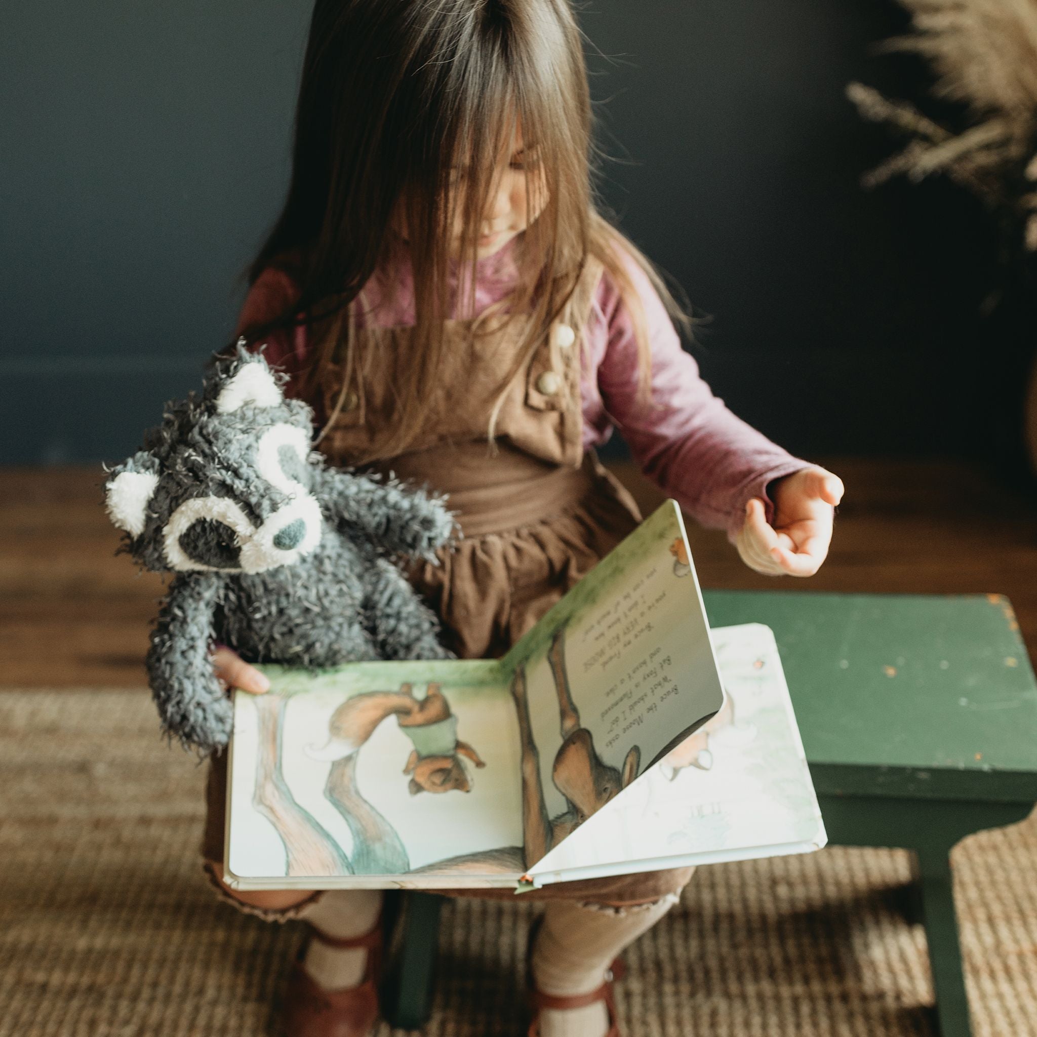 Roxy Book Bundle | Raccoon Stuffed Animal and Book Set