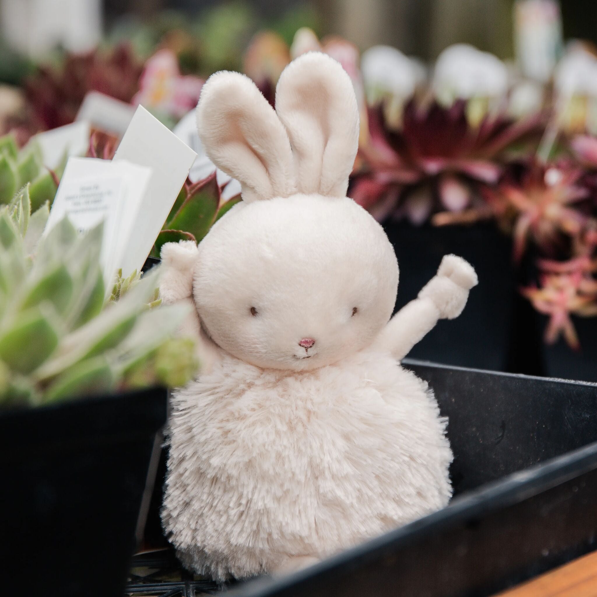 Roly Poly Rutabaga | Stuffed Animal | Bunny Plush | Limited Edition ...