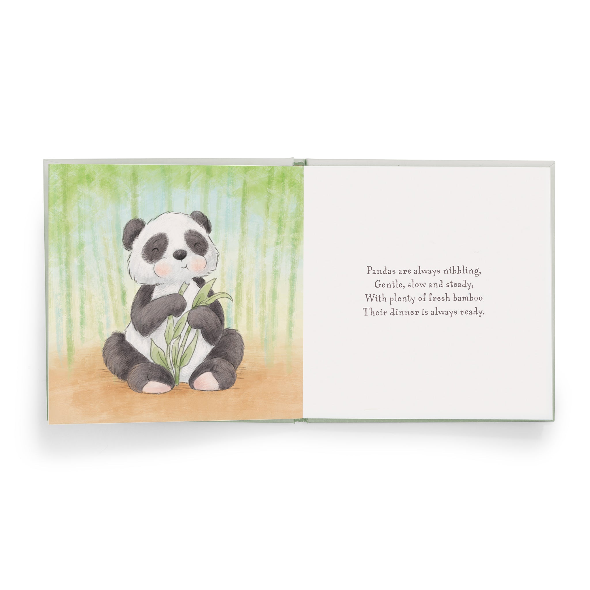 Nibble Nibble Board Book | Toddler Book
