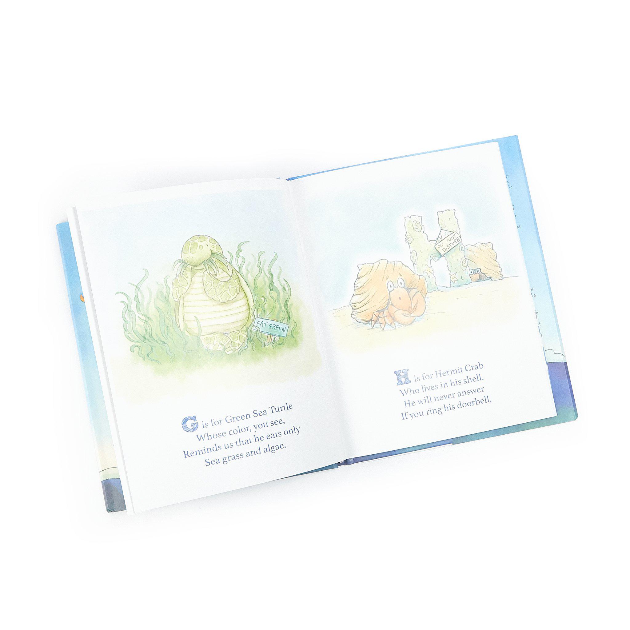 Avery The Aviator By The Sea A to Z | Children's Book