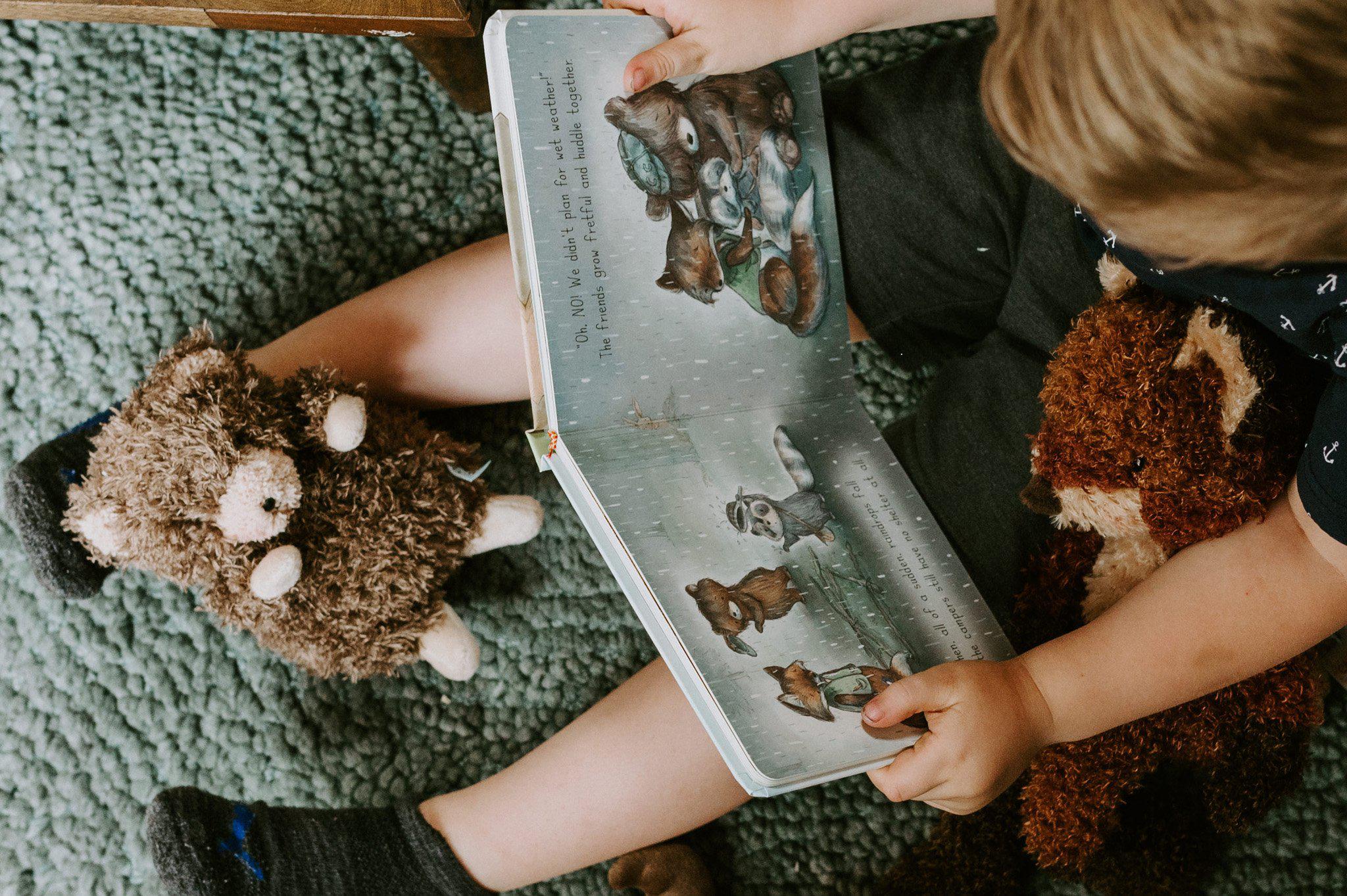 Camp Cricket StoryTime Wee Friends Gift Set | Woodland Stuffed Animal ...