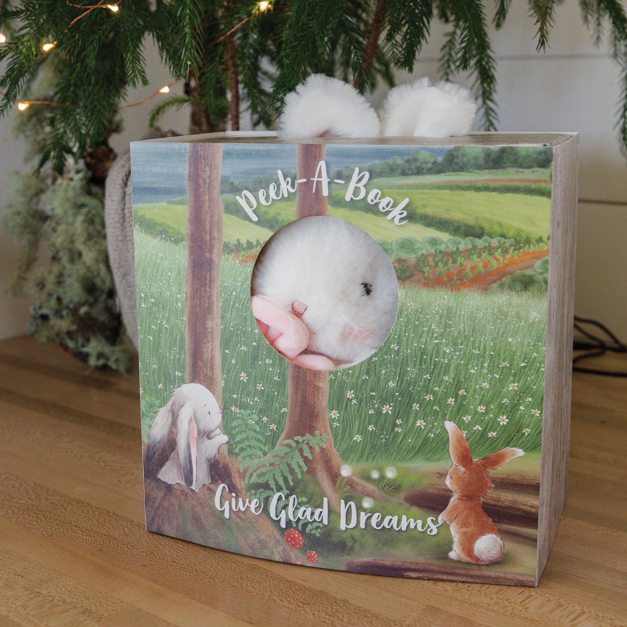RETIRED - Hide and Seek Blossom Book and Plush Boxed Set